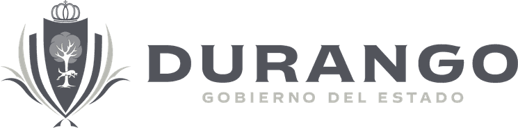 Portal de Pagos del Estado de Durango